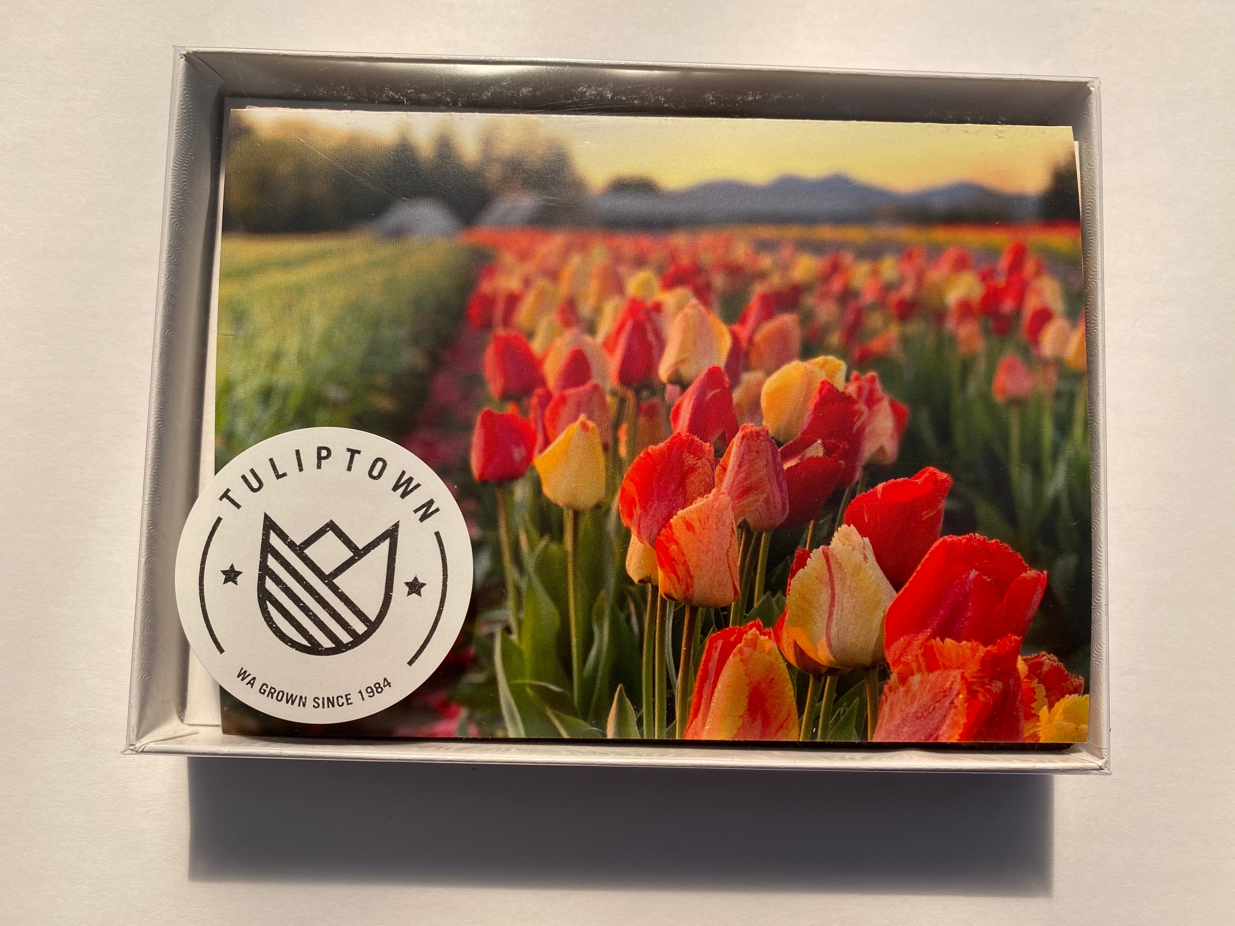 Collections – Tulip Town
