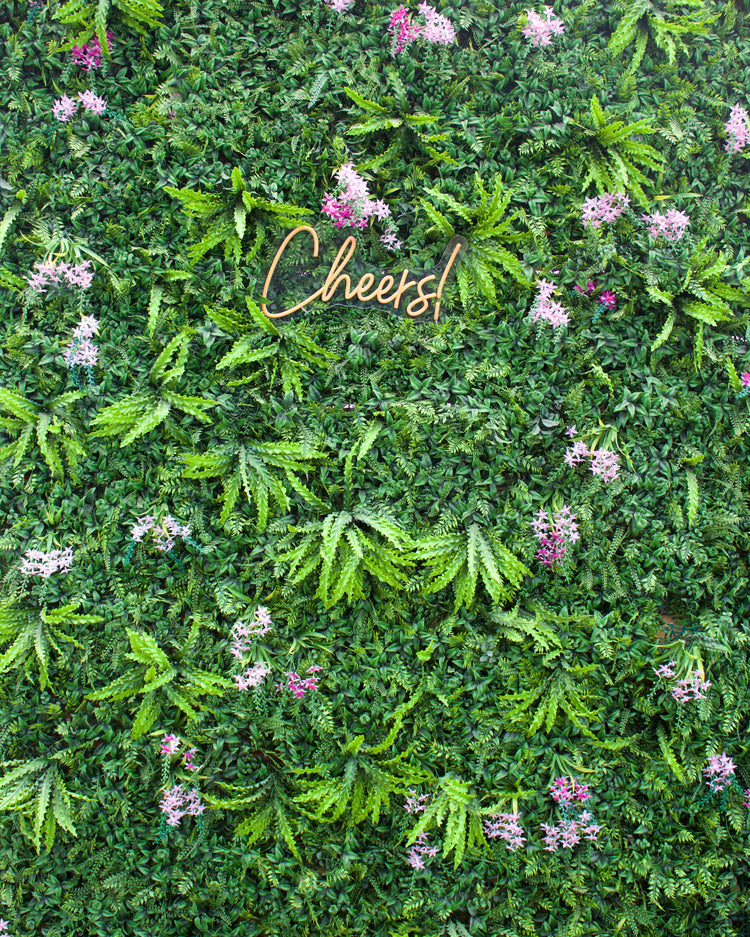 Activities & Experiences at Tulip Town