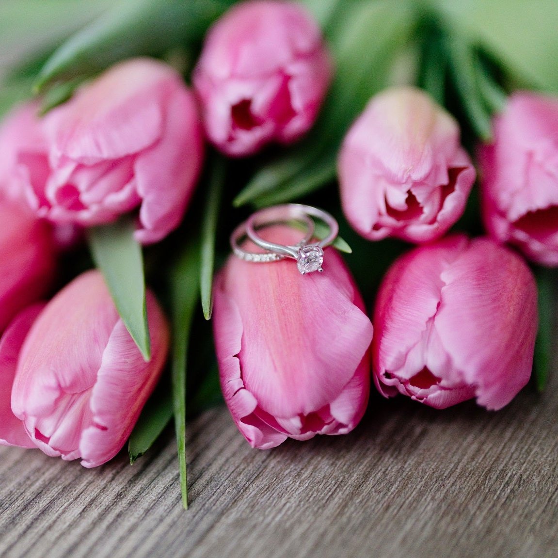 Tickets – Tulip Town