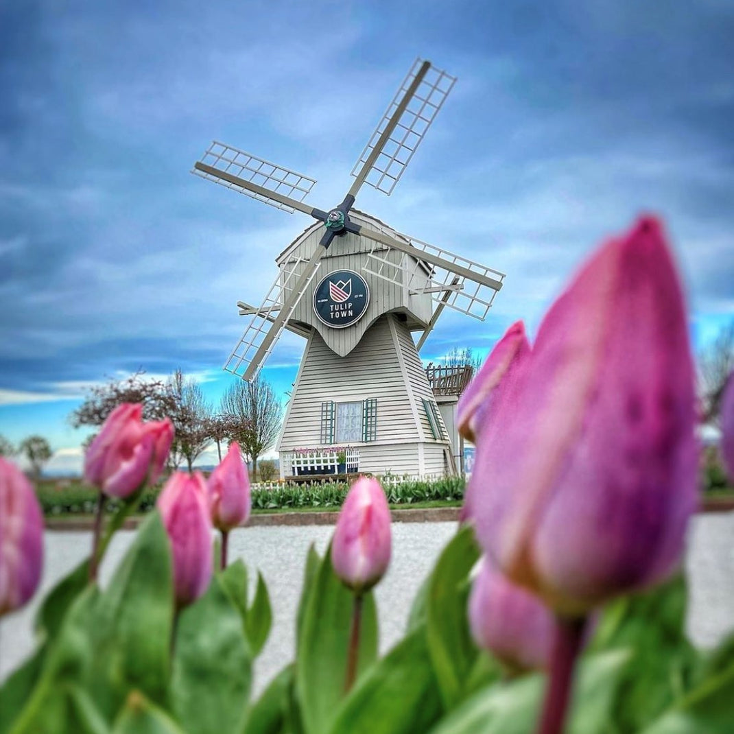 Tickets – Tulip Town