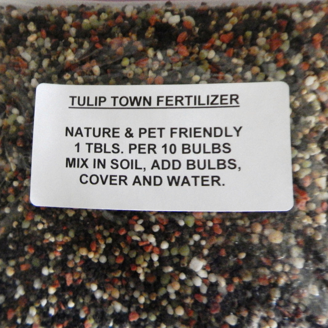 Tulip & Daffodil Bulbs – Tulip Town